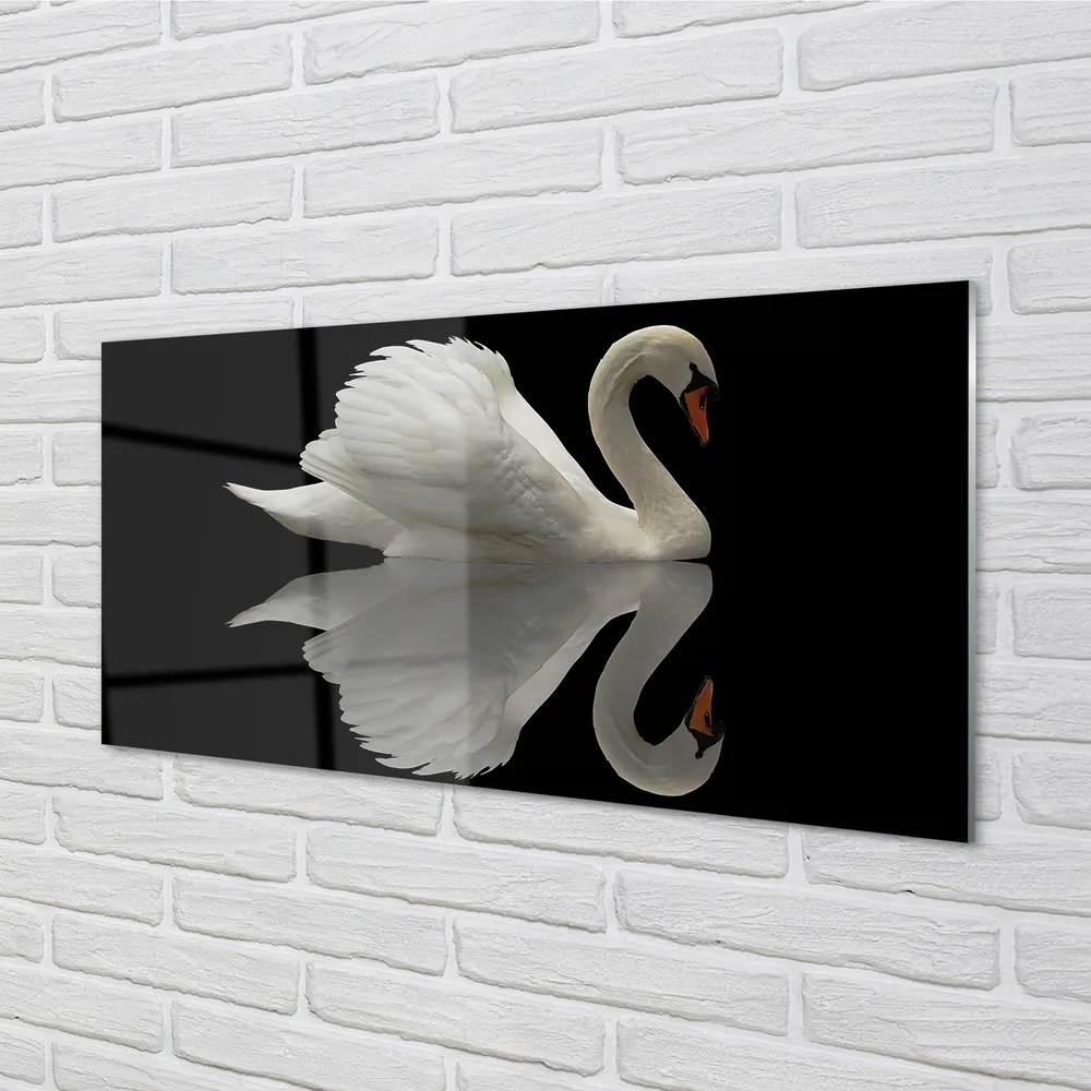 akrylový obraz Swan v noci 125x50 cm