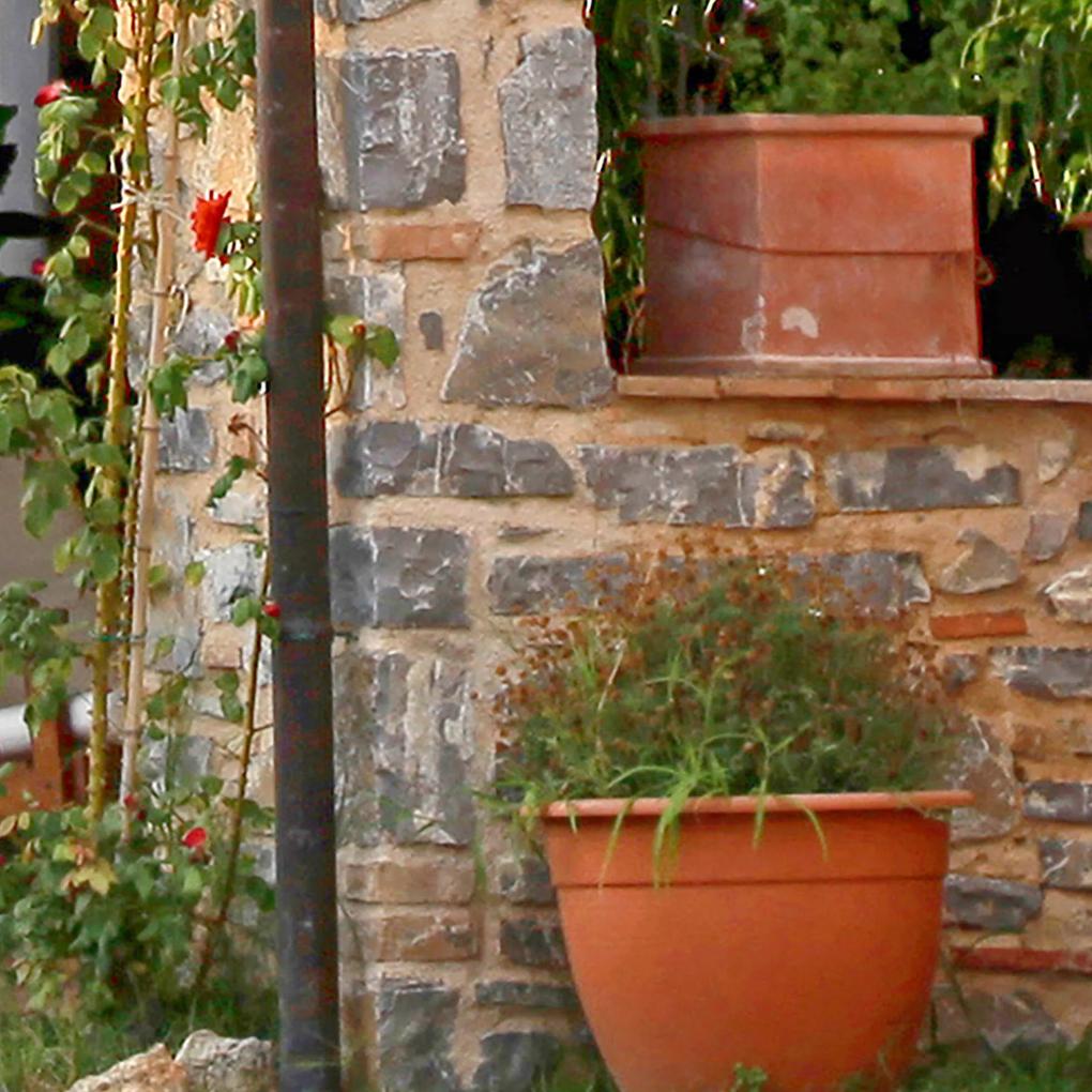 Malvis ® Tapeta Italská zahrada Vel. (šířka x výška): 144 x 105 cm