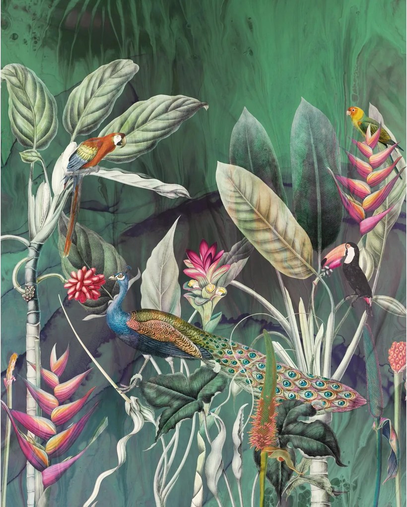 Komar Vliesová fototapeta Jungle Chat 200 x 250 cm
