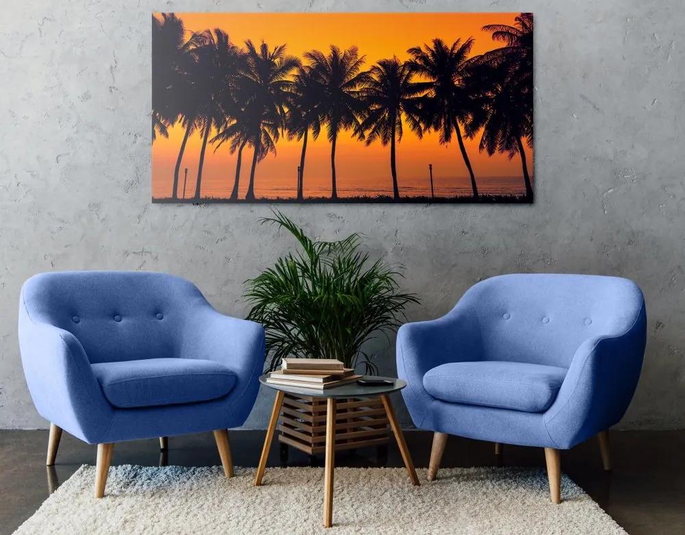 Obraz západ slunce nad palmami - 120x60 cm