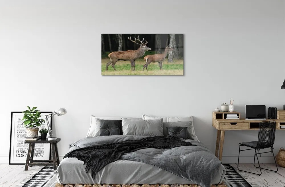 Obraz na skle jelen lesní 140x70 cm