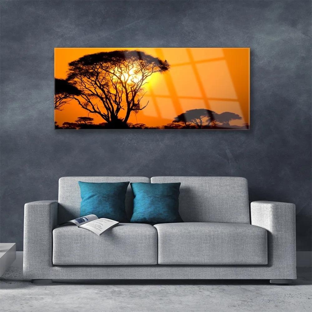 akrylový obraz Strom Slunce Příroda 125x50 cm