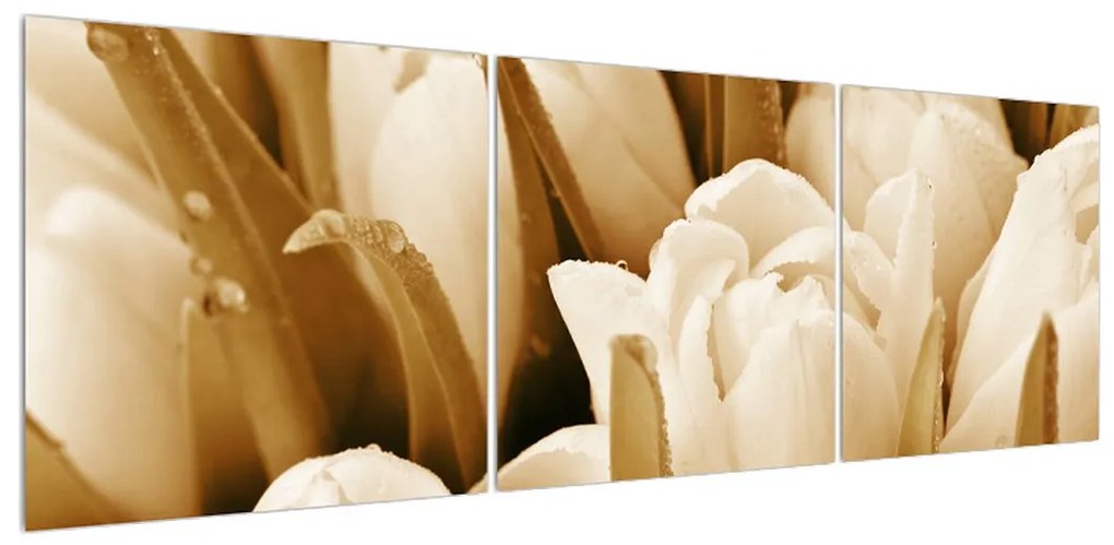 Obraz tulipánů  (150x50 cm)