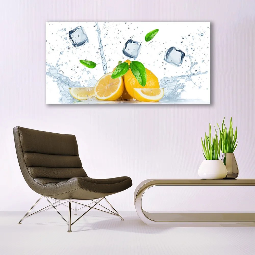 akrylový obraz Citron Kostka Ledu Kuchyně 120x60 cm