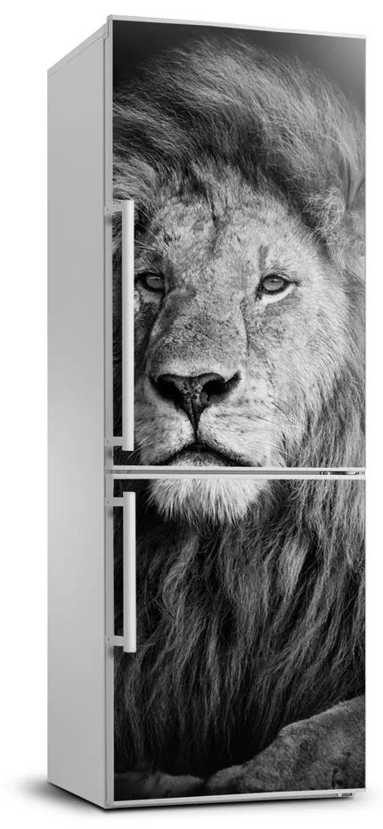 Wallmuralia Foto nálepka na ledničku stěnu Portrét lva 60x180 cm