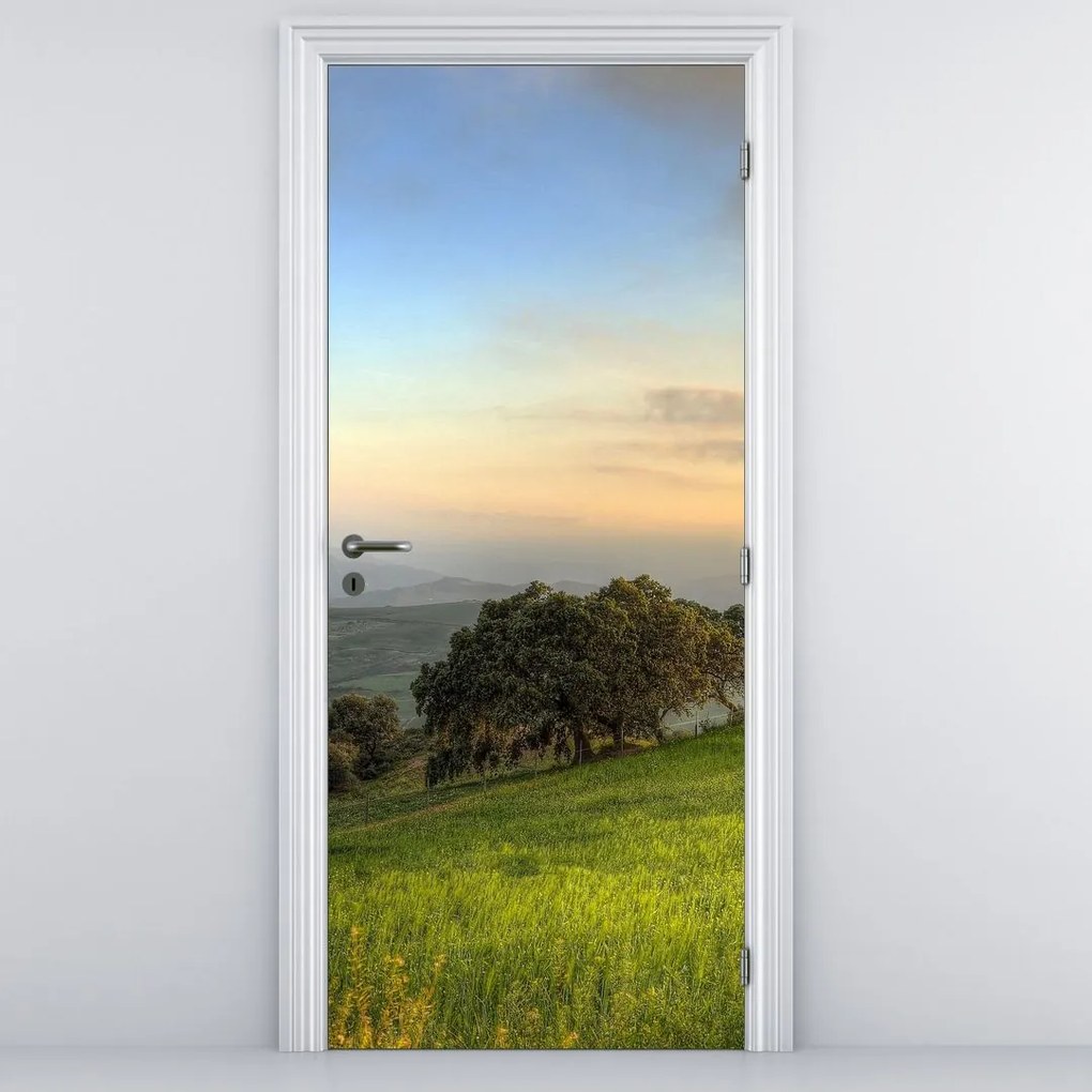 Fototapeta na dveře - Výhled z kopce (95x205cm)