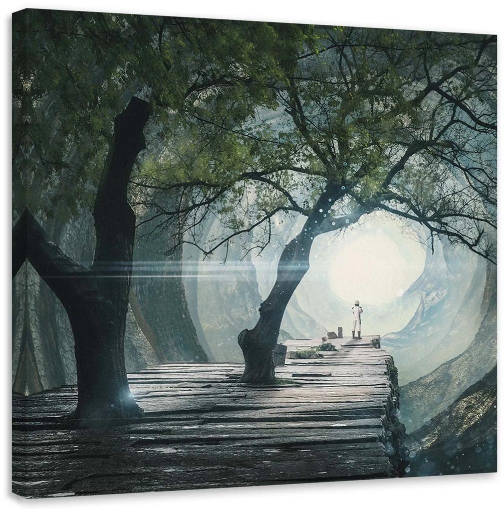 Gario Obraz na plátně Most v jeskyni - Zehem Chong Rozměry: 30 x 30 cm