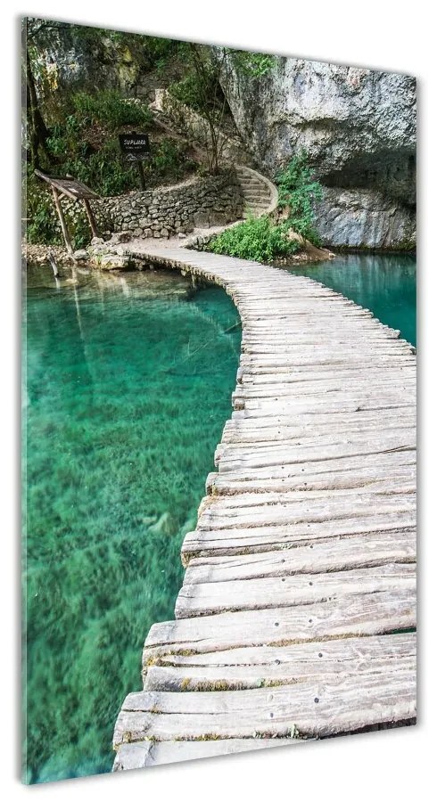 Wallmuralia Vertikální Fotoobraz na skle Plitvická jezera 50x100