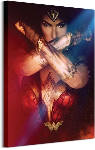Obraz na plátně DC Comics Wonder Woman (Power) 60x80cm WDC99962