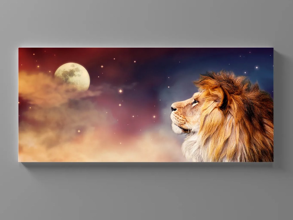 Liox XXL Obraz lev a měsíc Rozměr: 200 x 100 cm