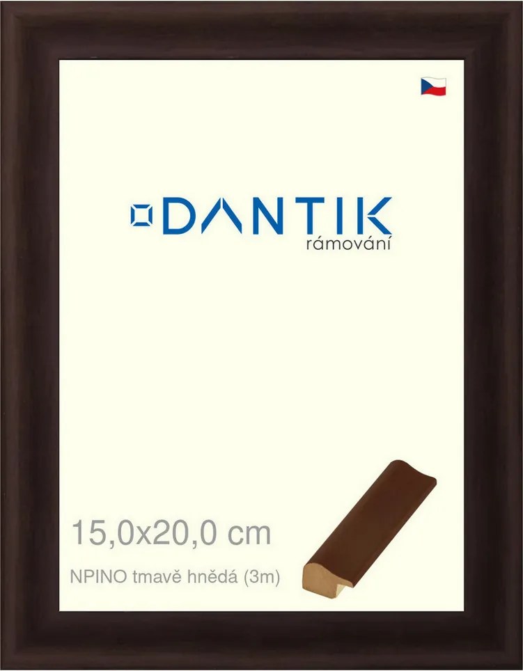 DANTIK rámeček 15x20 | NPINO tmavě hnědá (Sklo Čiré)
