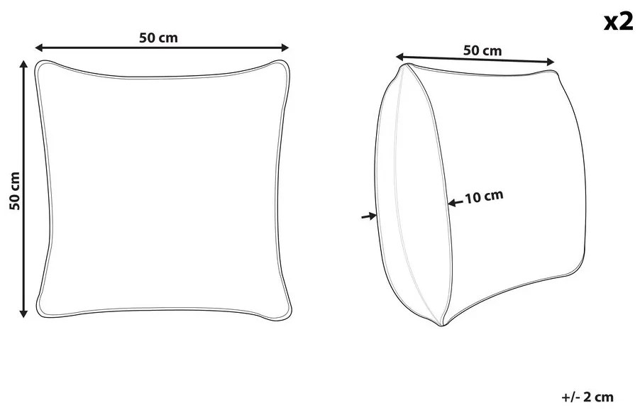 Sada 2 vyšívaných bavlněných polštářů s motivem kočky 50 x 50 cm vícebarevné PHUSRO Beliani