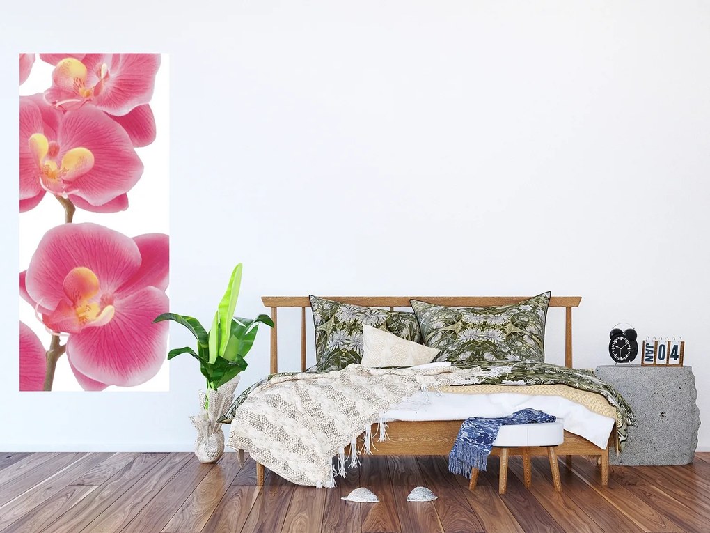 Vliesová fototapeta na zed' Růžová Orchidej | 202 x 90 cm | DFTNV2826