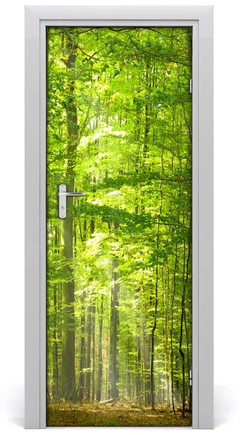 Fototapeta na dveře bukový les 75x205 cm
