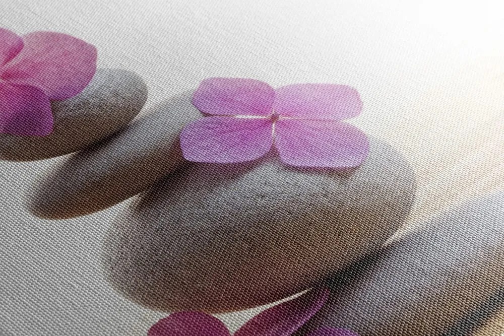 Obraz balanc kamenů a růžové orientální květy Varianta: 90x60