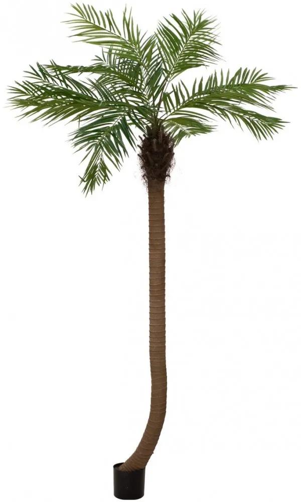 Umělá květina - Phoenix palma zakřivená, 240cm