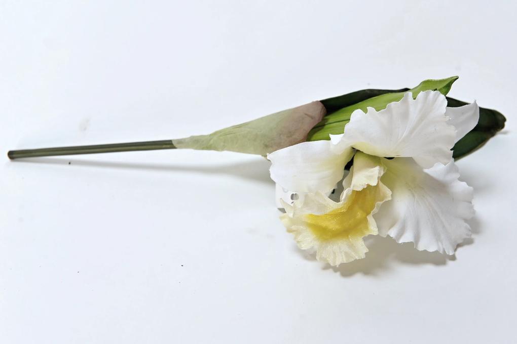 Hitra Květina  / větev orchidej CATTLEYA krémová 28cm