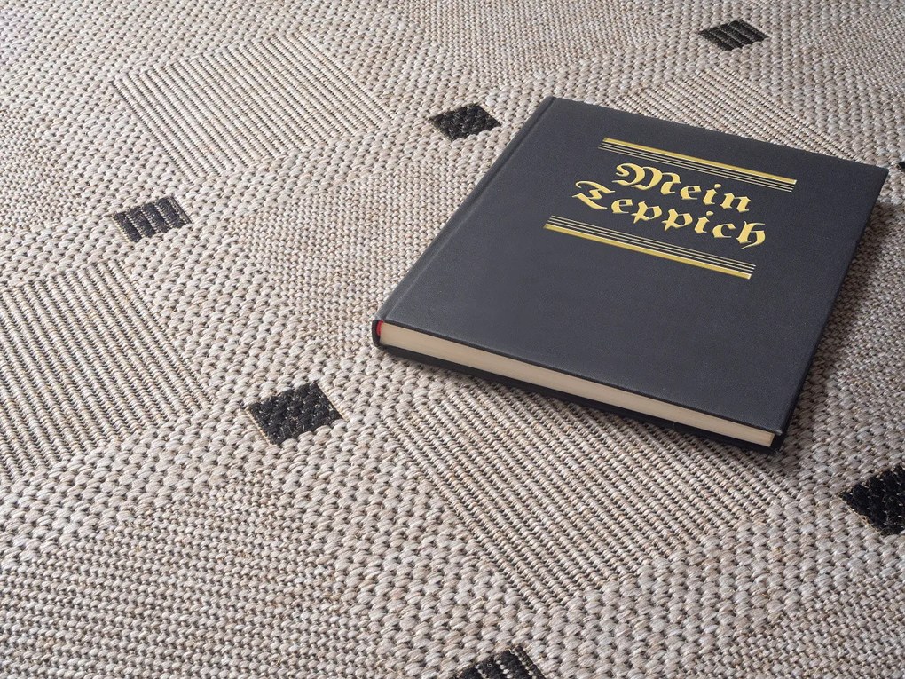 Devos Caby (DC Carpets), Kusový koberec FLOORLUX Silver/Black 20079 – na ven i na doma, 240x330, béžová, chodba / předsíň