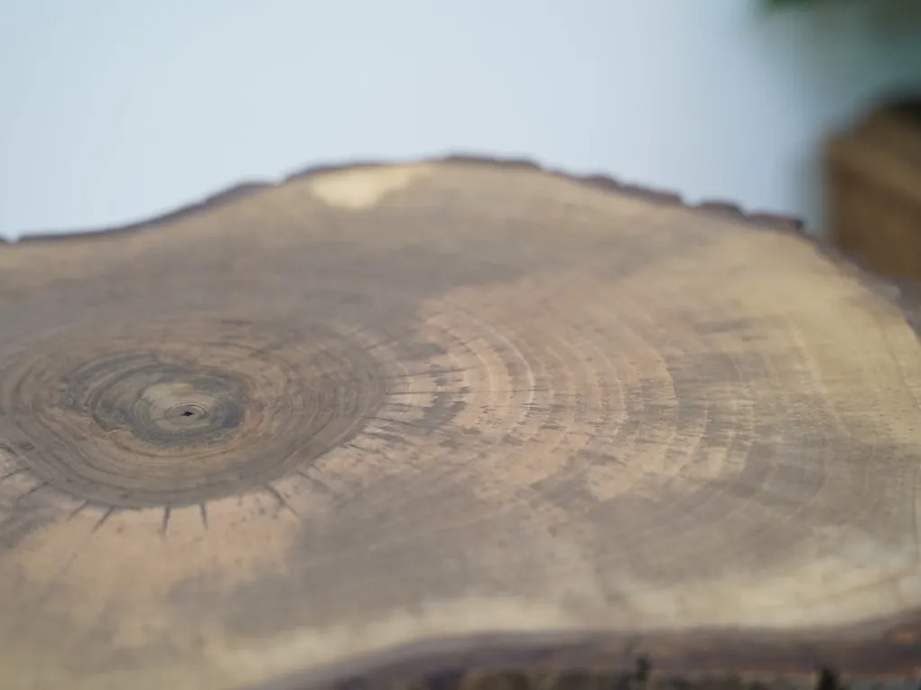 Konferenční Stůl, Ořech s kůrou 44 cm