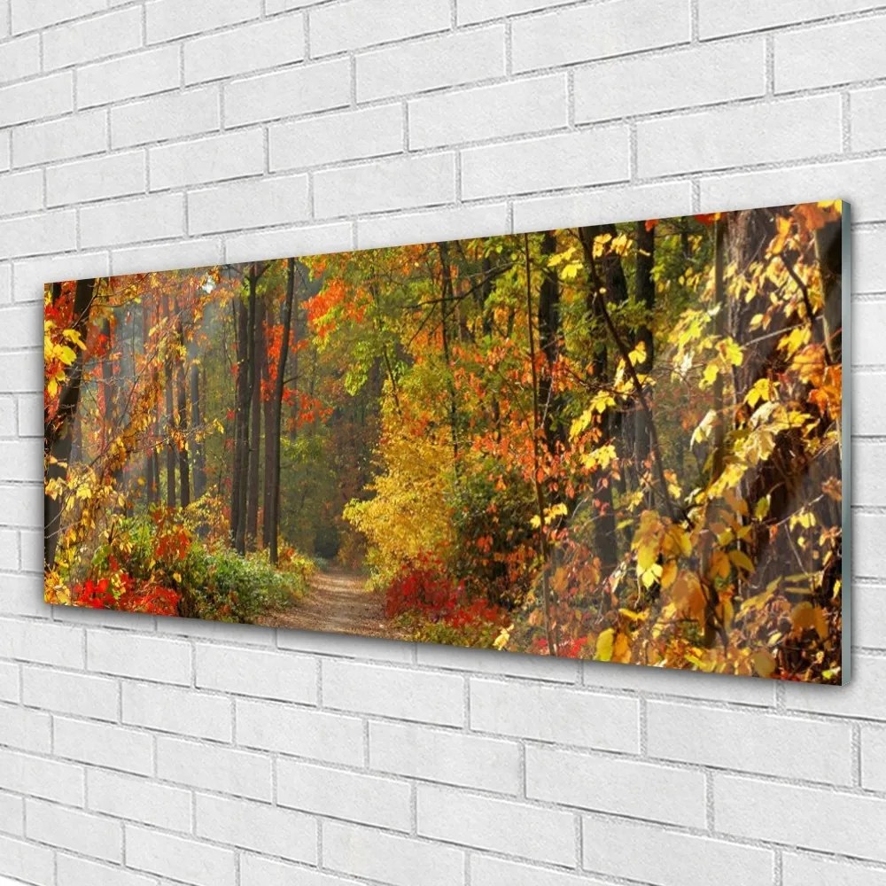 Plexisklo-obraz Les Příroda Podzim 125x50 cm