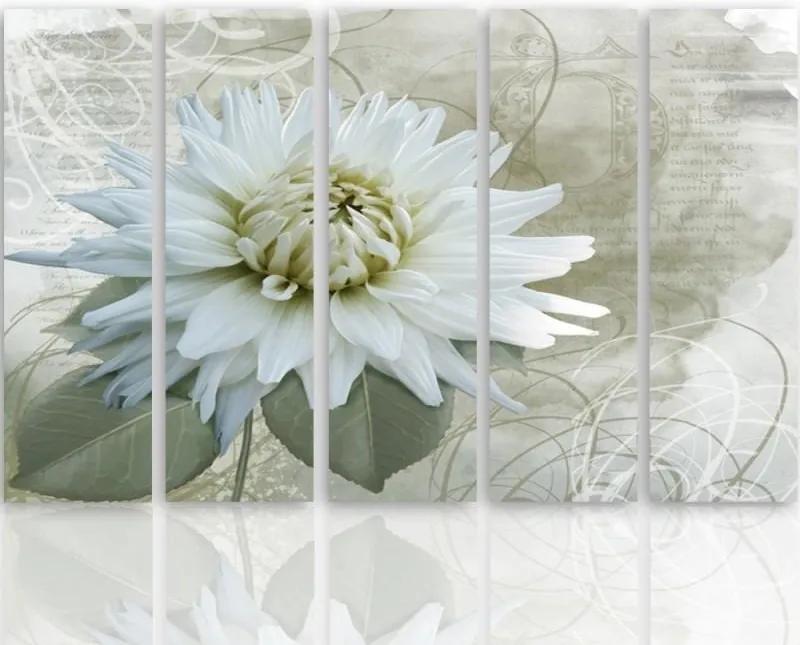 CARO Obraz na plátně - White Flower 100x70 cm