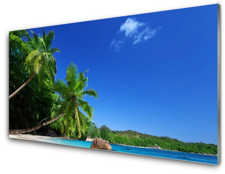 akrylový obraz Palma Stromy Pláž Krajina 120x60 cm