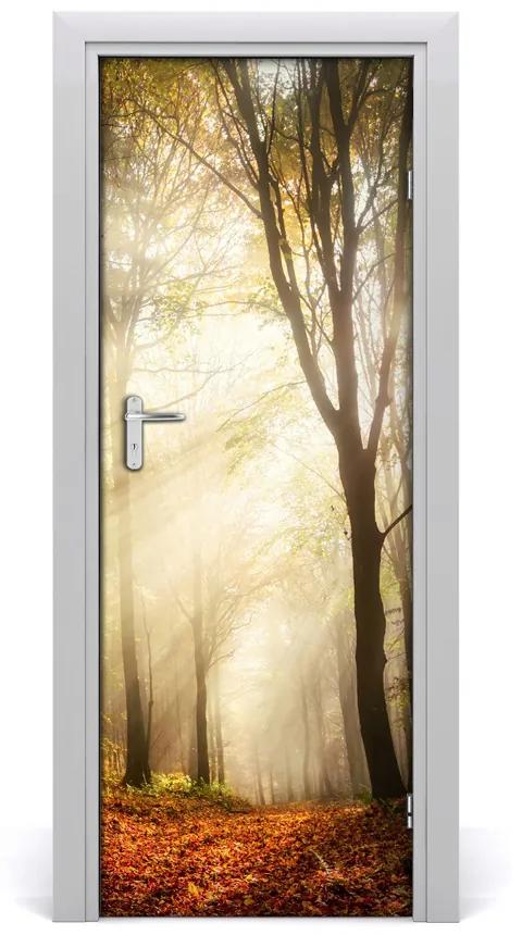 Fototapeta na dveře samolepící les podzim 95x205 cm