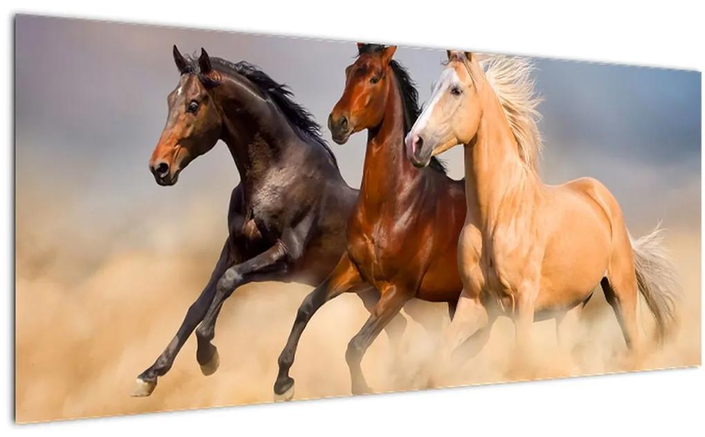 Obraz - Divocí koně (100x40 cm), 40 dalších rozměrů