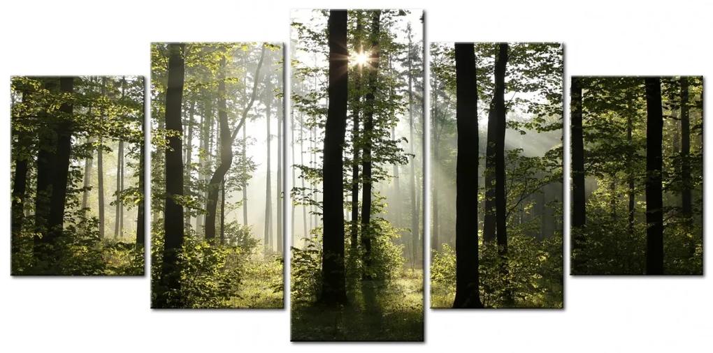 Pětidílný obraz les + háčky a hřebíčky ZDARMA Velikost (šířka x výška): 100x50 cm