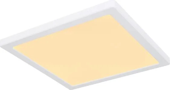 Globo 12380-24W - LED Stropní svítidlo LASSE LED/24W/230V 3000/4000/6500K bílá