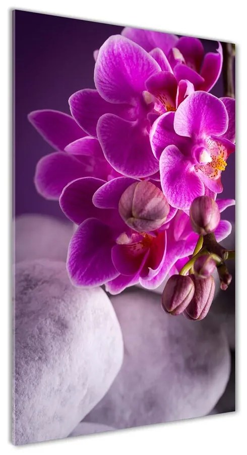 Wallmuralia Fotoobraz na skle Růžová orchidej 60x120 cm