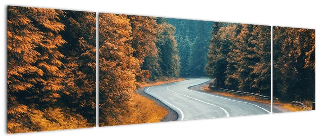 Obraz - Klikatící se silnice (170x50 cm)