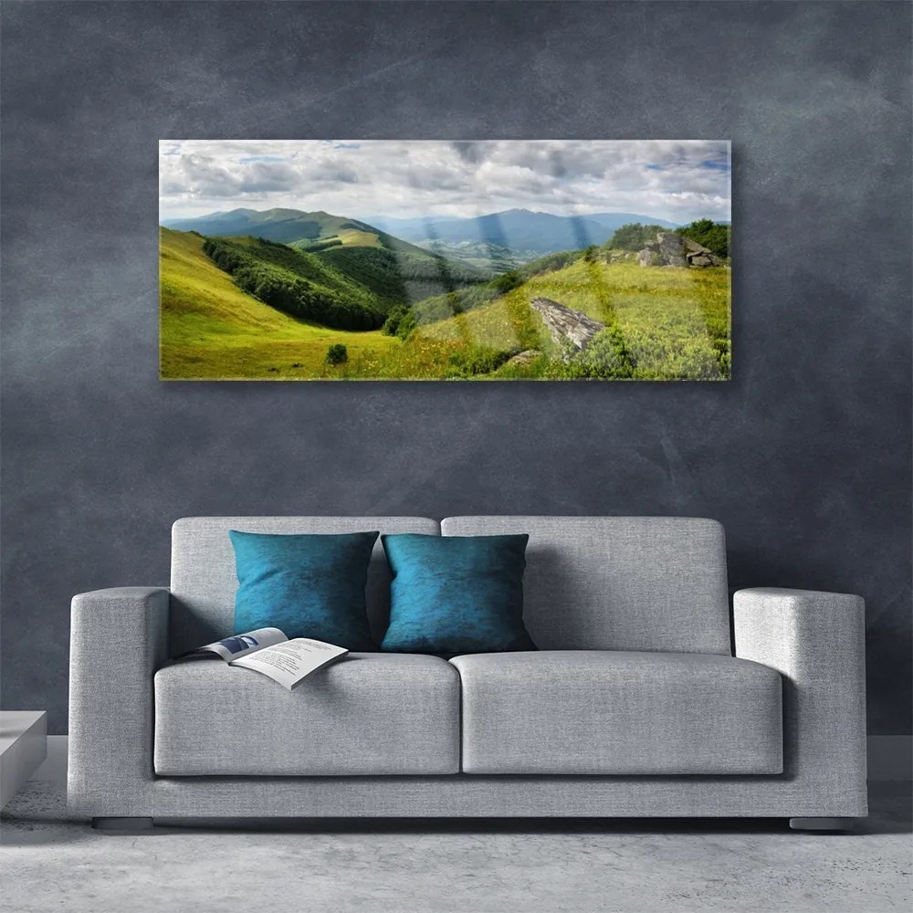 akrylový obraz Hora Louka Krajina 125x50 cm