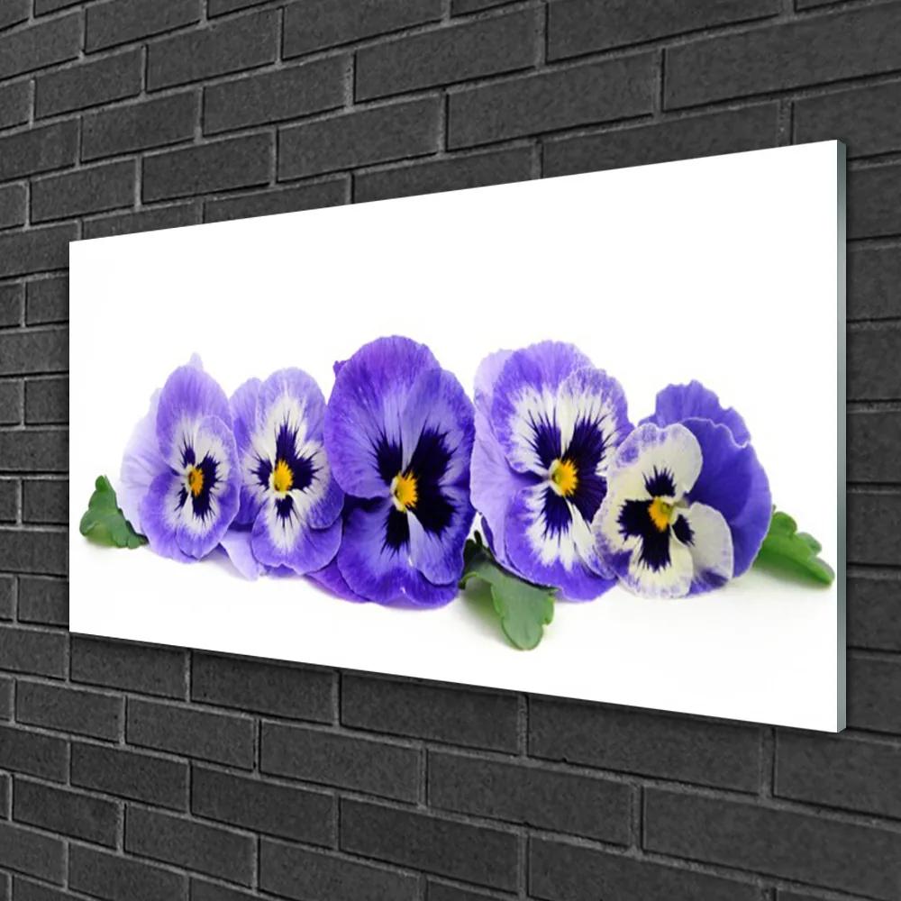 Obraz na skle Plátky Květ Macešky 100x50 cm