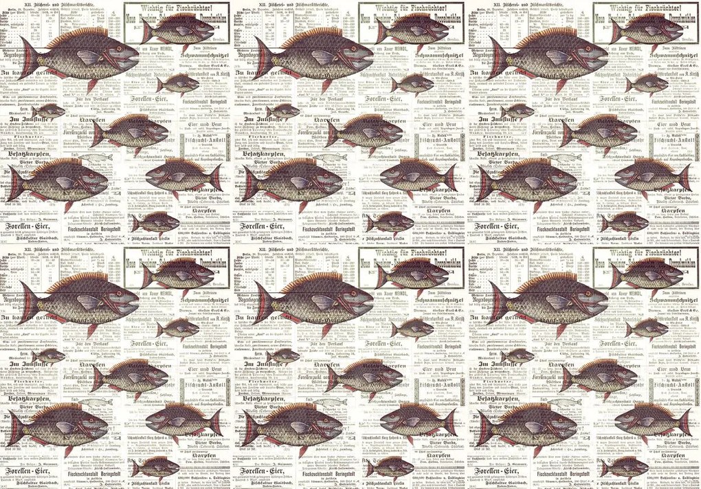 Fototapeta - Piraně ve starých novinách (152,5x104 cm)