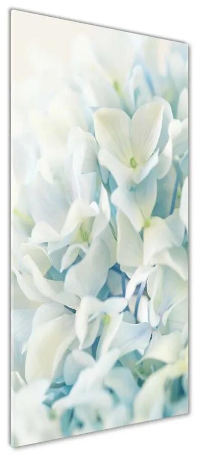 Wallmuralia Fotoobraz na skle Květ hortensie 50x125 cm