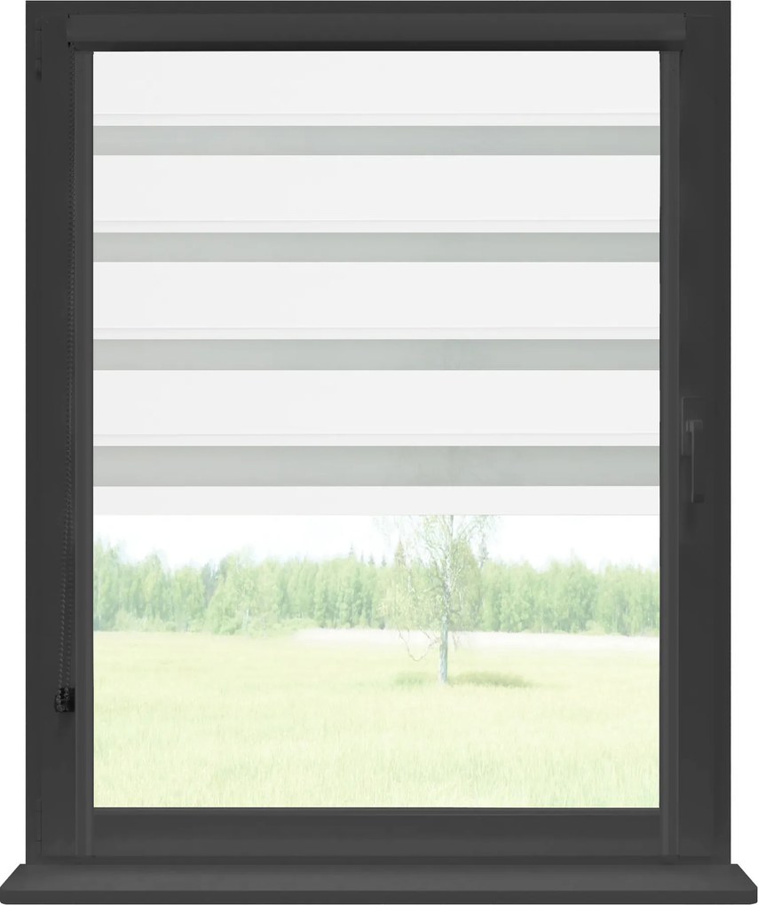 Dekodum Roleta den a noc v antracitové kazetě zatemňovací, barva látky Bílá Šířka (cm): 146, Výška (cm): Balkonová (do 200 cm), Strana mechanismu: Levá