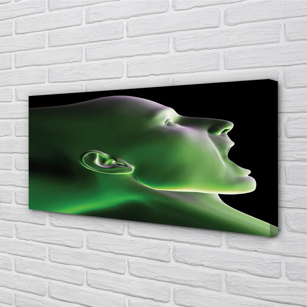 Obrazy na plátně V čele muž zelenou 120x60 cm