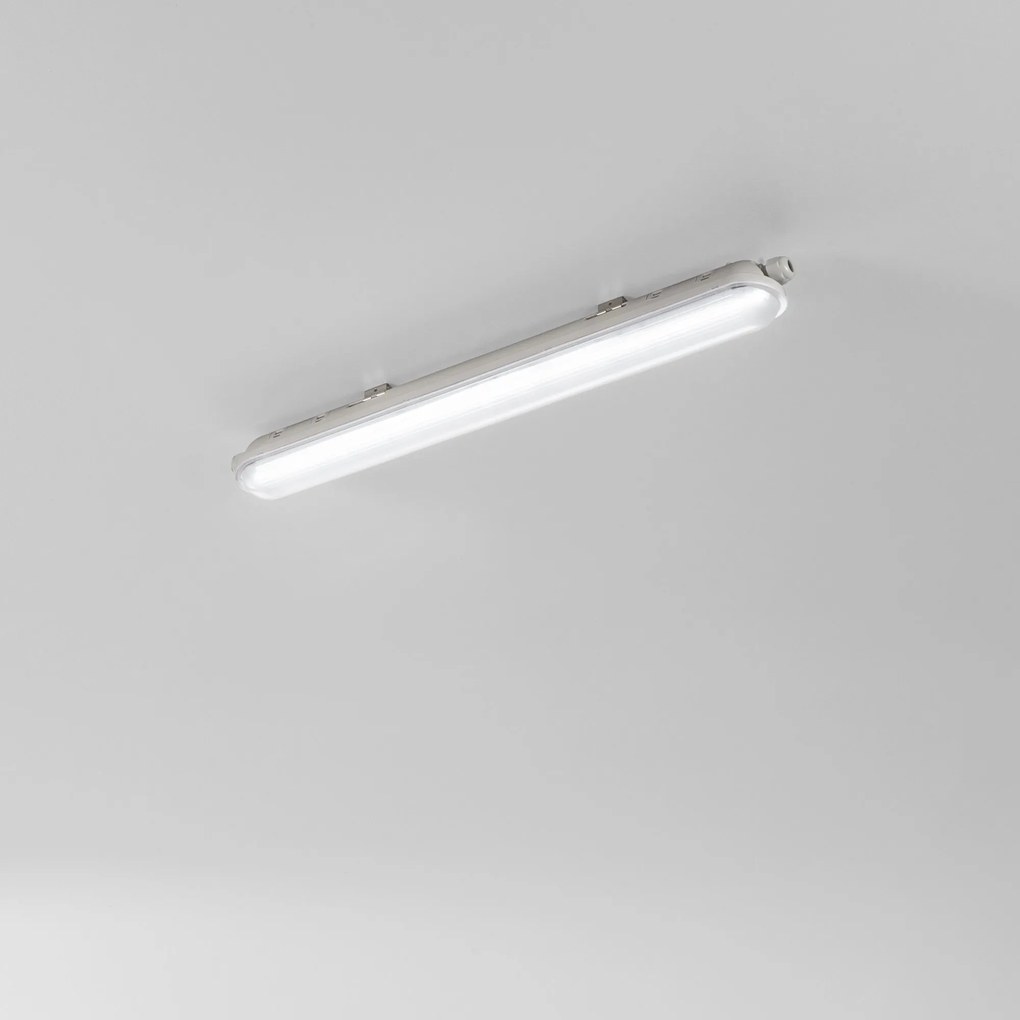 FAN LED-NAUTILUS-60 Prachotěsné stropní svítidlo LED NAUTILUS stříbrná polykarbonát 21 W 2900 lm 4000 K IP65 7,2 x 59 x 6,1 cm - FANEUROPE