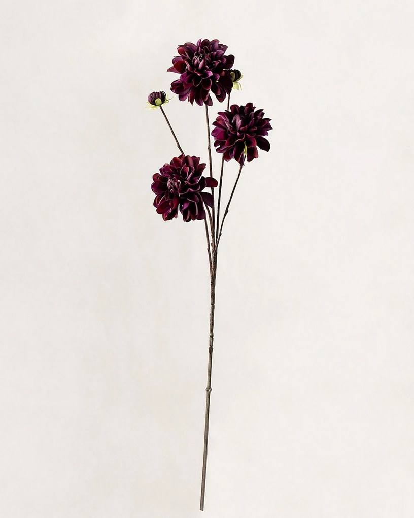 Větevicka dahlie 90 cm