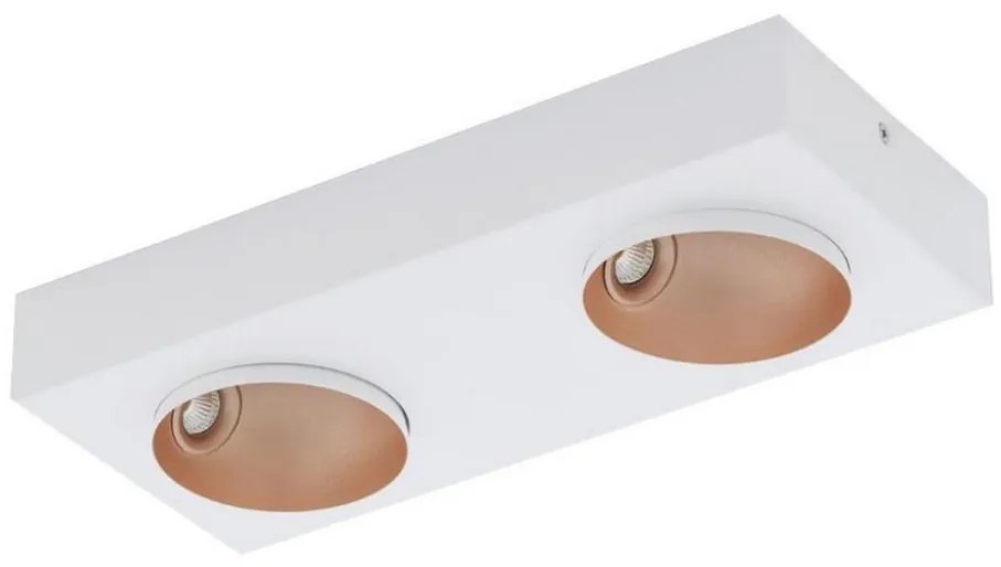 Eglo 39374 - LED Stmívatelné stropní svítidlo RONZANO 2xLED/3,3W/230V