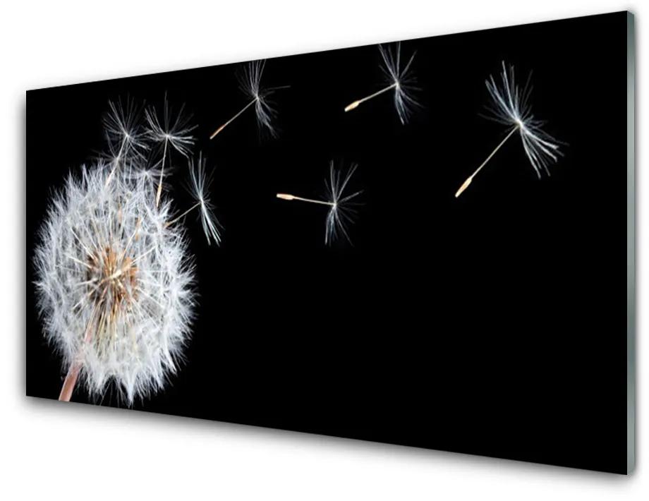 Obraz na skle Pampeliška Květiny Příroda 125x50 cm