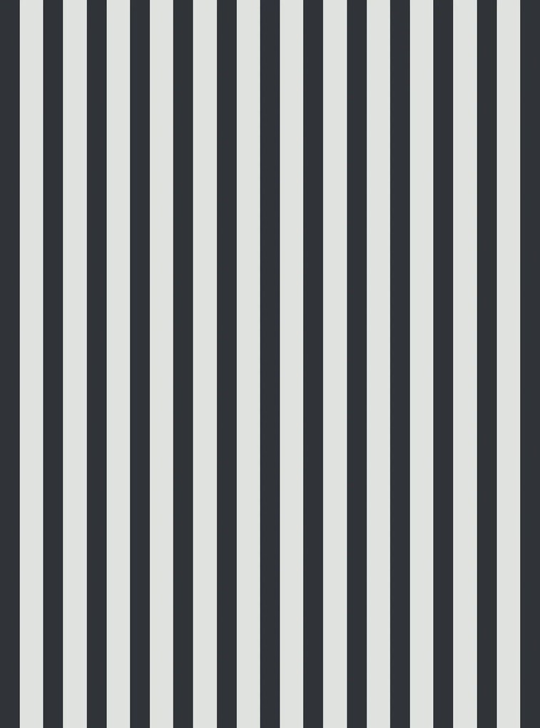 Bavlněné povlečení MONOLINE černo-bílé Rozměr povlečení: 70 x 80 cm | 140 x 200 cm