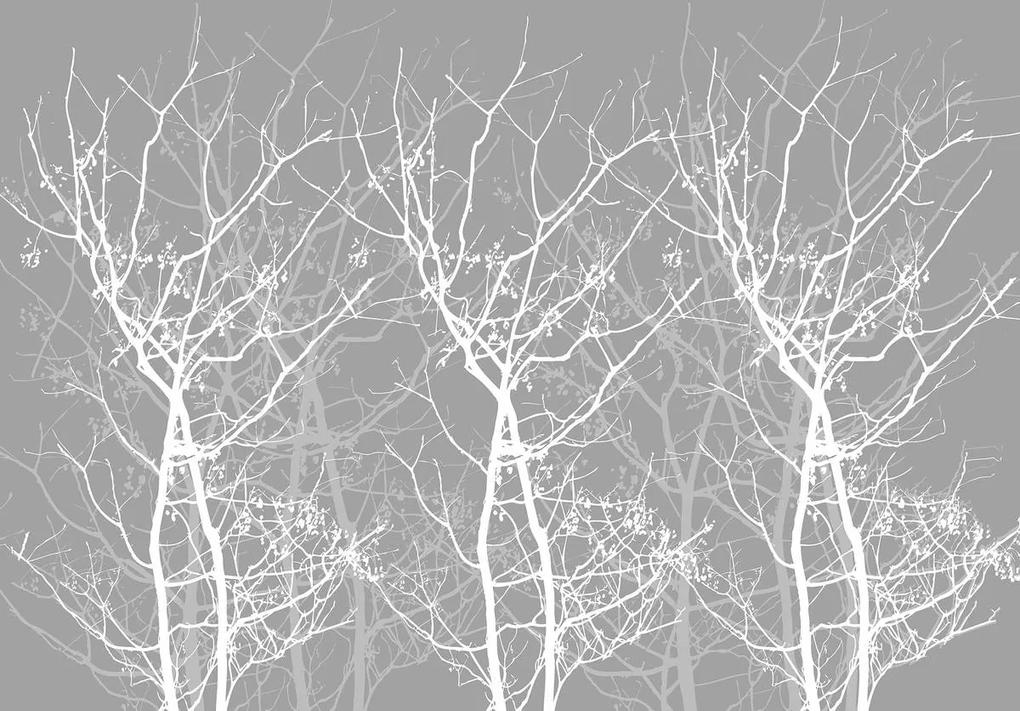 Fototapeta - Obrys stromu (254x184 cm)