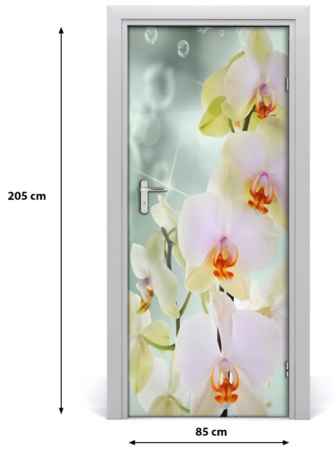 Fototapeta samolepící Orchidej 85x205 cm