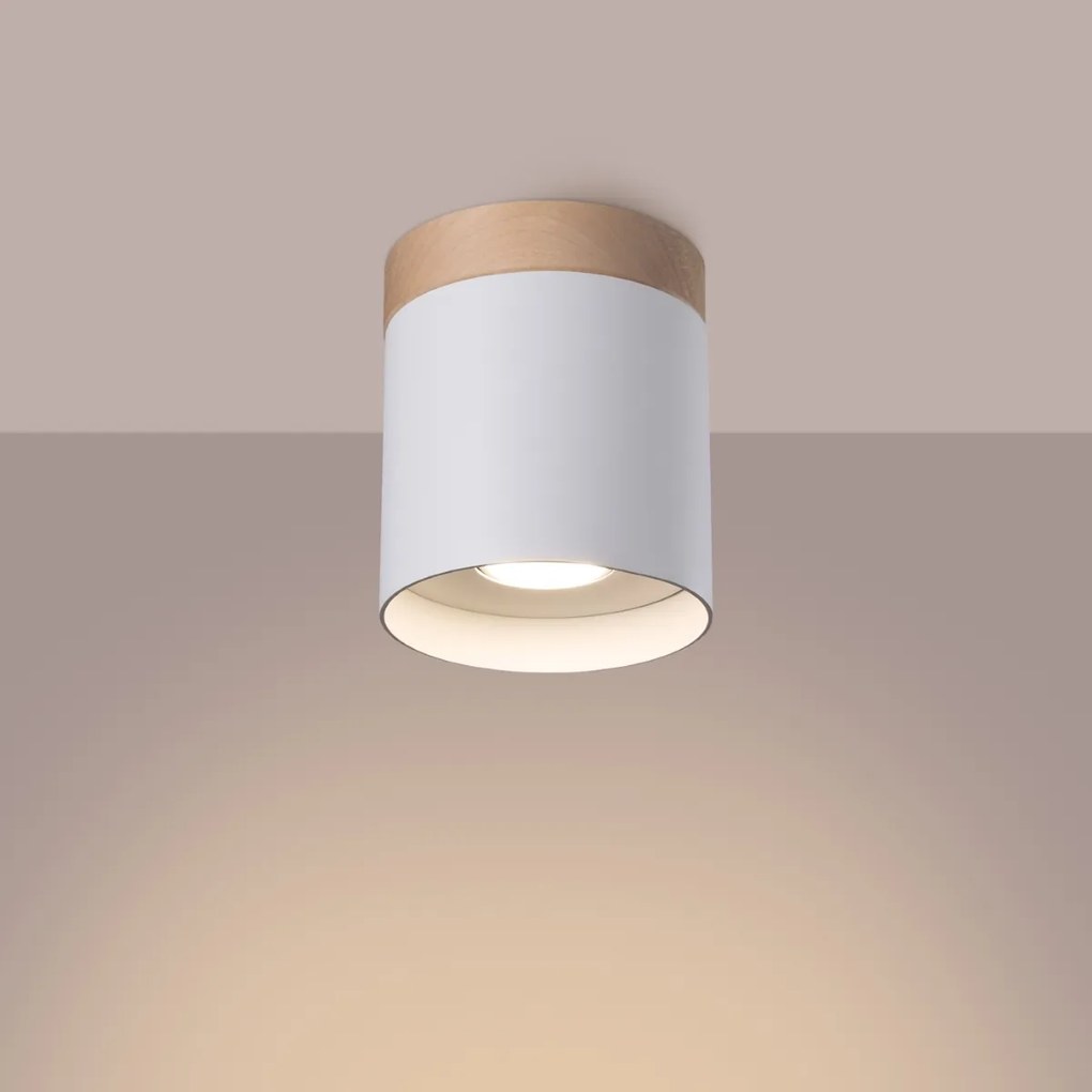 Sollux Lighting Stropní svítidlo RIF bílé