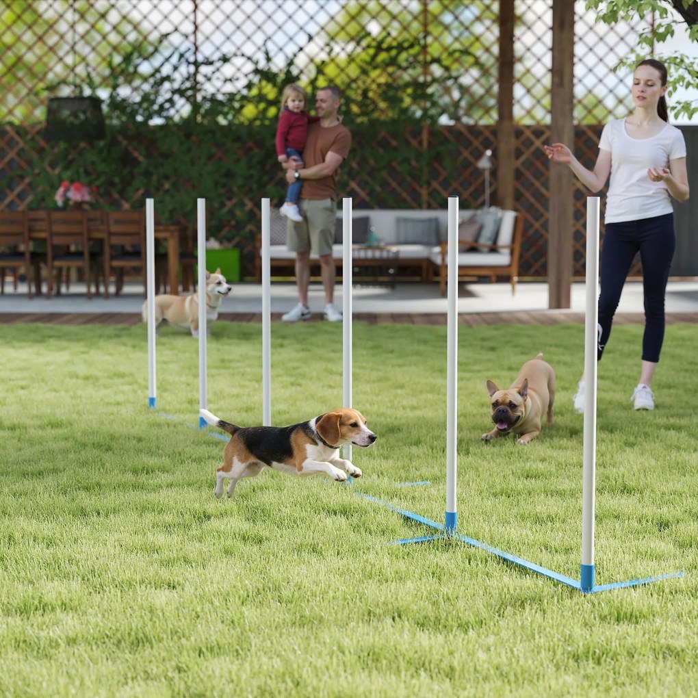 Sada pro trénink agility pro psy PawHut s pytlem z polyesteru 600D bílo modrá 305 x 60 x 94 cm pro psí sporty