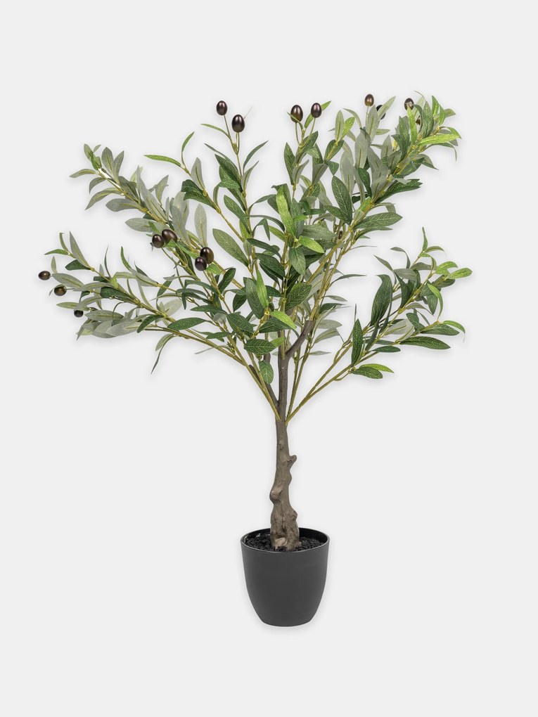 Sinsay - Decorative plant in a pot - zelená