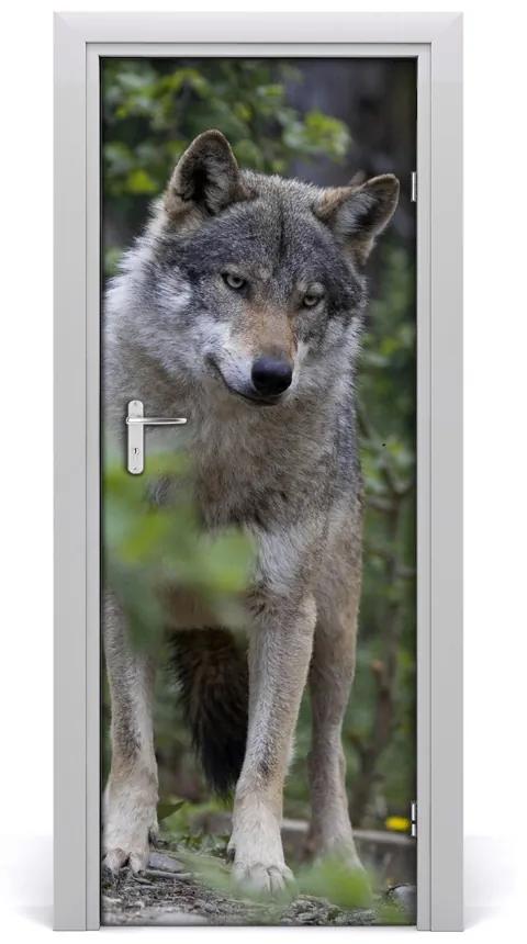 Samolepící fototapeta na dveře Vlk v lese 85x205 cm