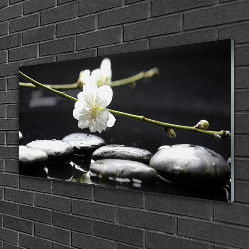 Obraz na skle Květ Kameny Umění 140x70 cm